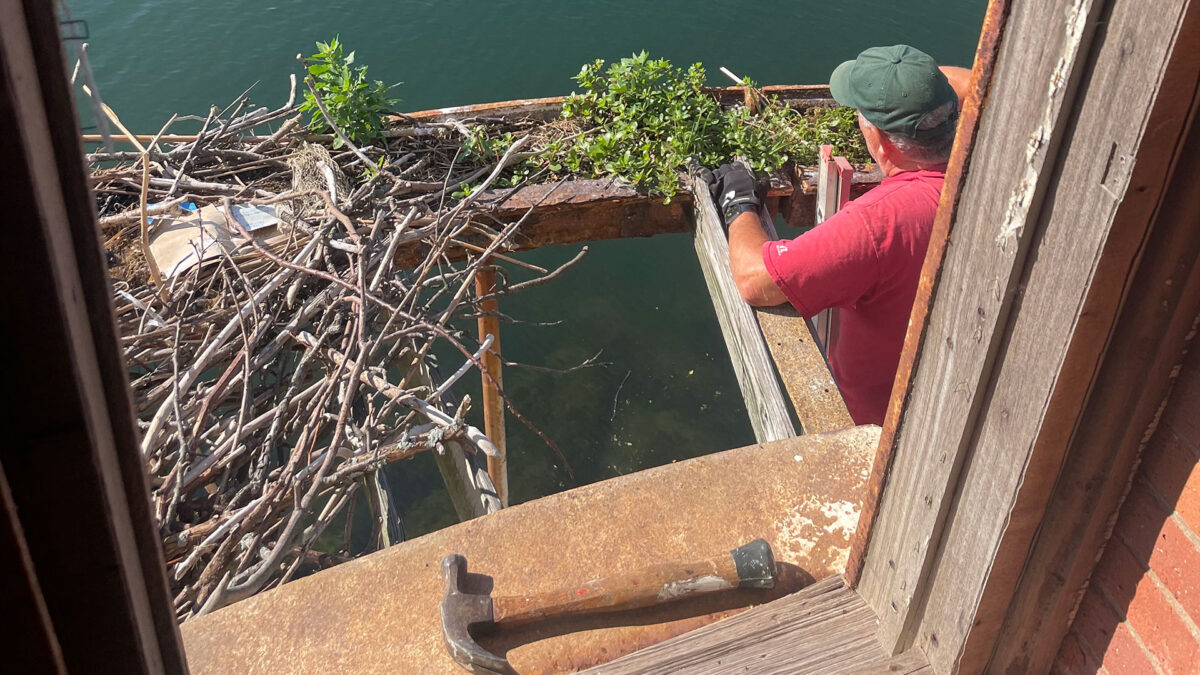 Spotlight - Stamford Harbor Lighthouse Project